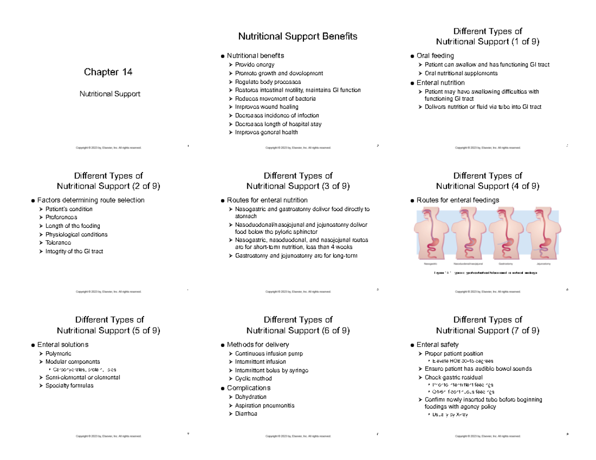23 Chapter 014 condensed - 1 Chapter 14 Nutritional Support 2 ...