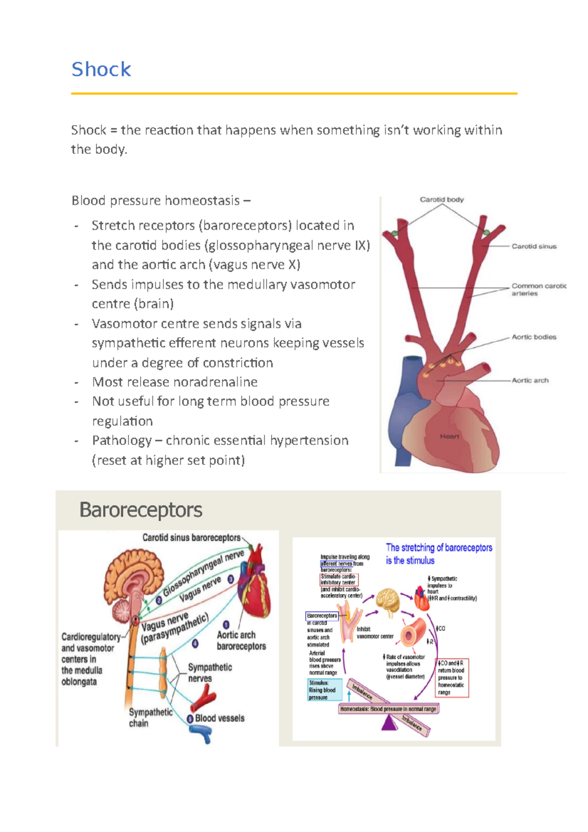Shock - Shock Shock = the reaction that happens when something isn’t ...