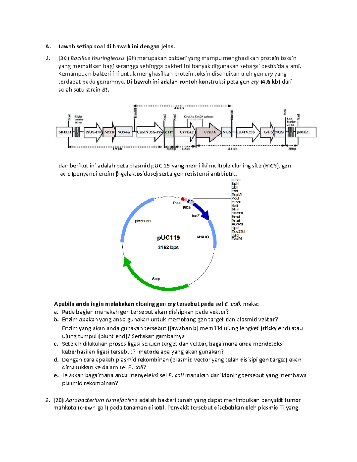 Soal jawaban Bioteknologi siklus - A. Jawab setiap soal di bawah ini dengan jelas. (30) Bacillus ...