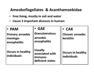 Bsped DKA guideline 2020 update - BSPED Interim Guideline for the ...