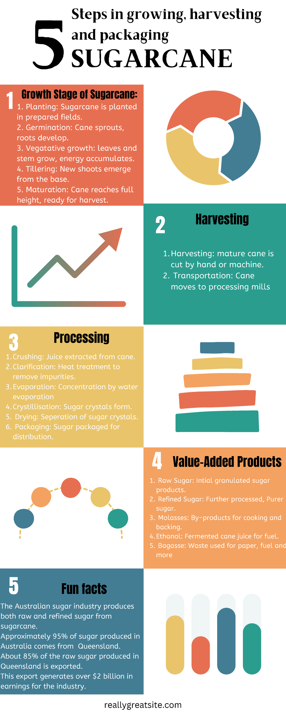 Sugar Cane Production Infographic - Steps in growing, harvesting and ...