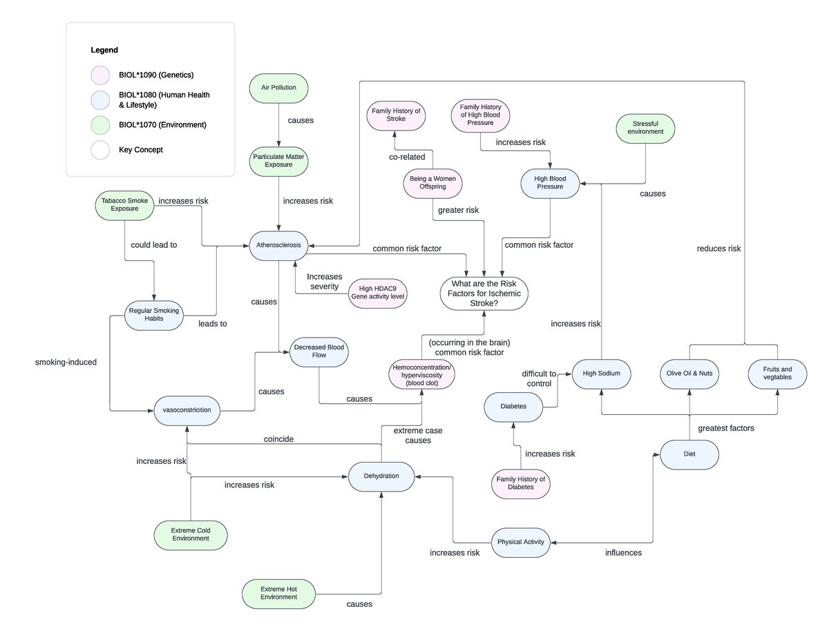 Integrative Thinking Concept Map - What are the Risk Factors for ...