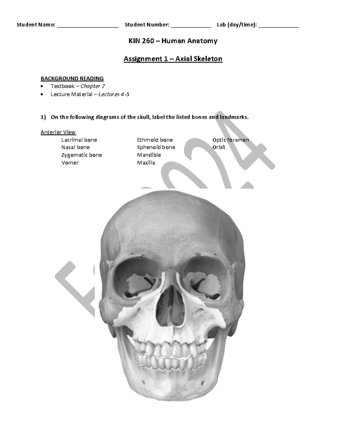 Lab 1 - Axial Skeleton - Assignment - Student Name ...
