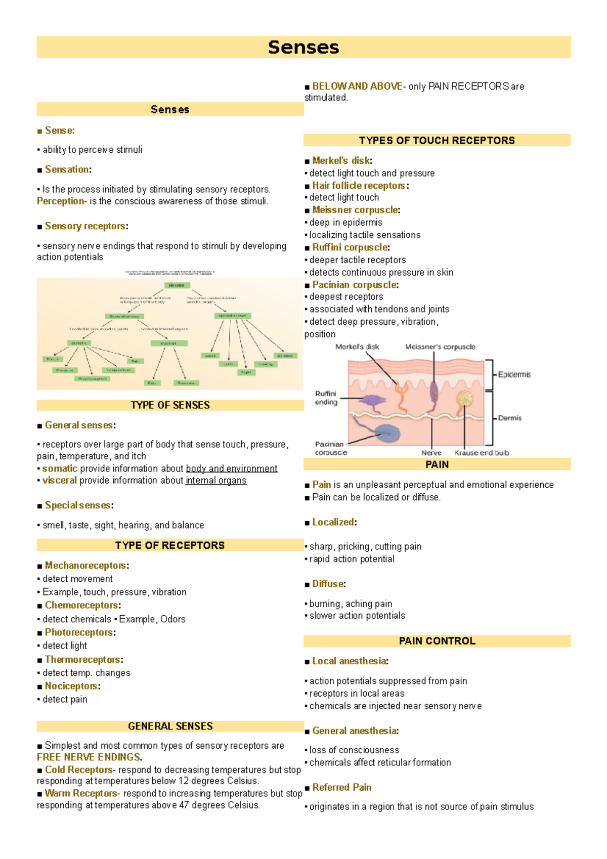 Sense notes - Senses Sense: ability to perceive stimuli Sensation: Is ...