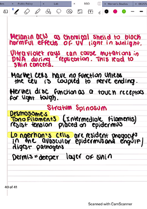 Canterbury Tales-Poetry Class Assignment-2021 - Canterbury Tales Poetry ...