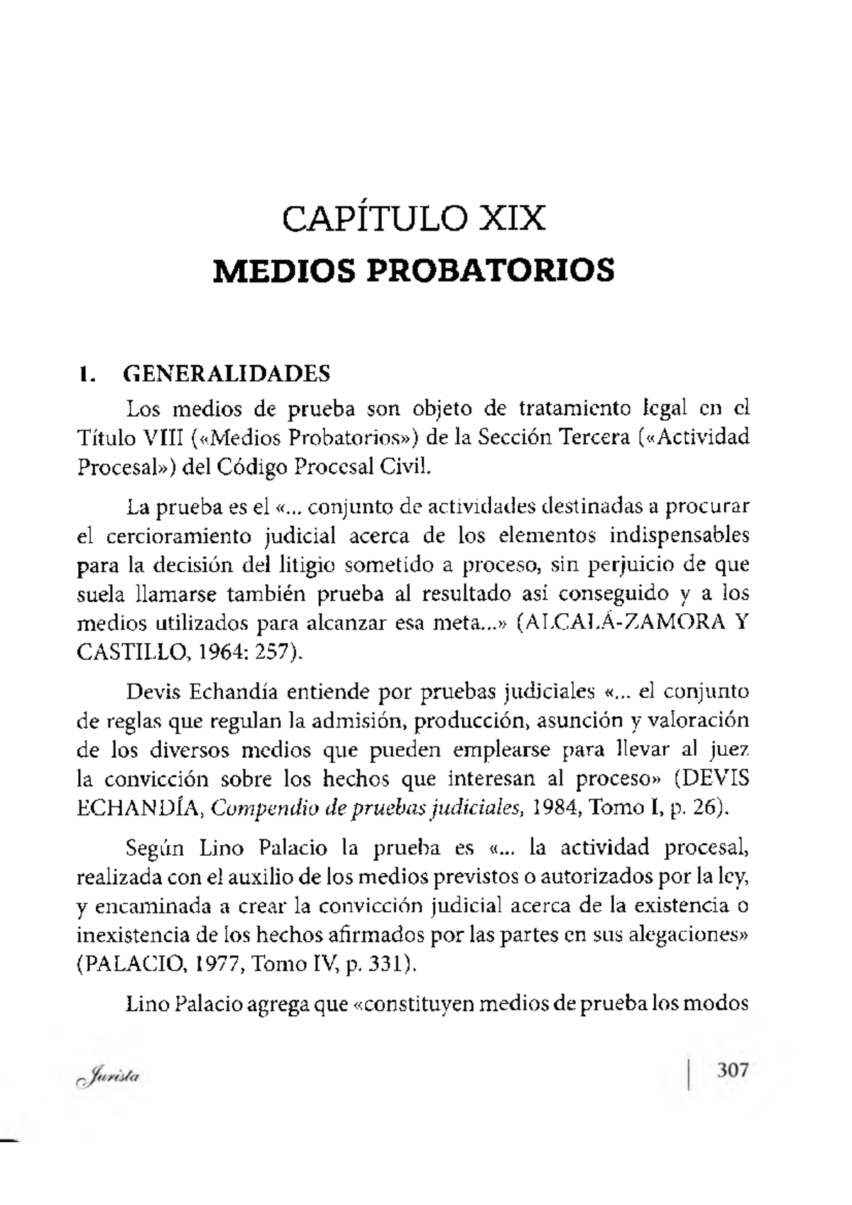 Medios probatorios Manual de Derecho procesal civil - CAPÍTULO XIX ...
