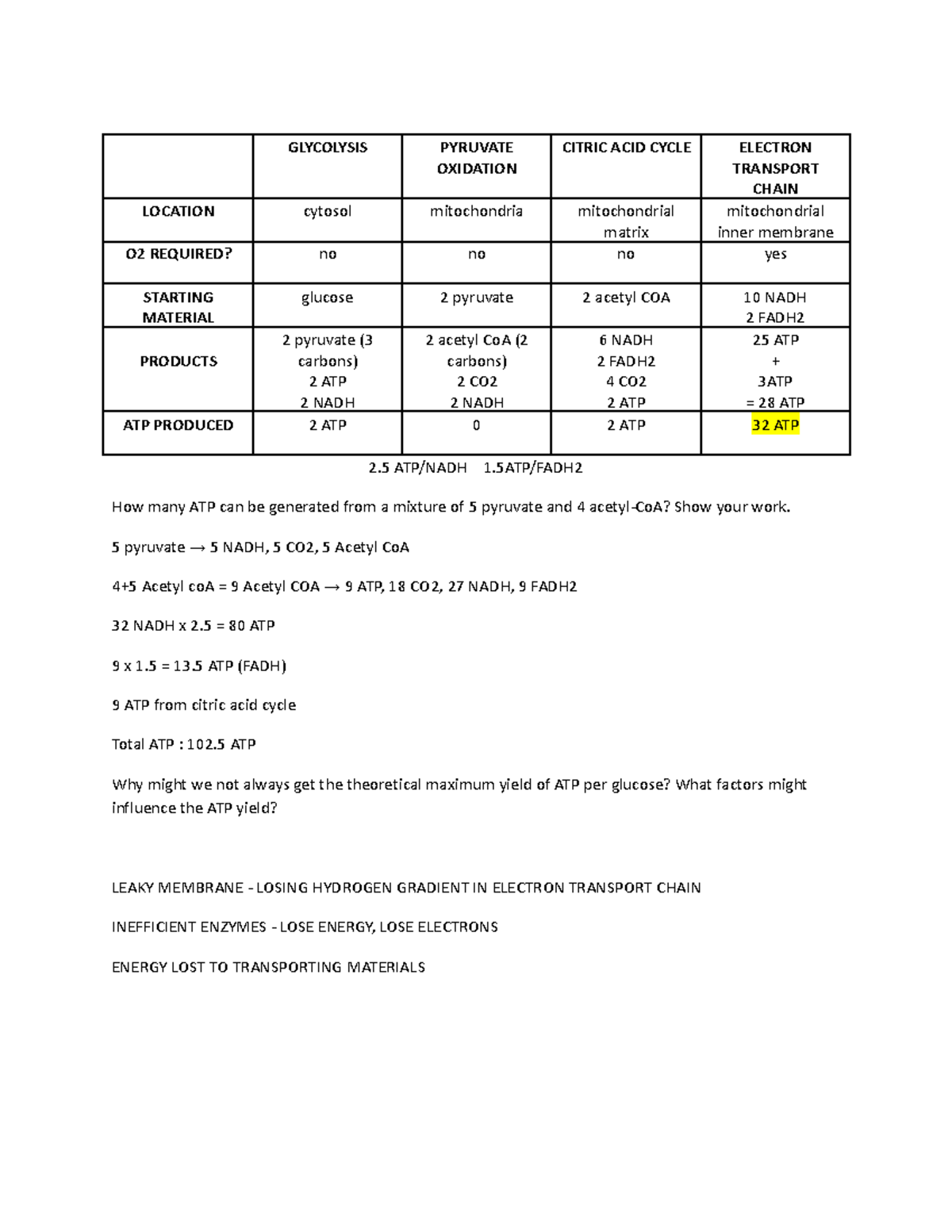 Metabolism Worksheet - GLYCOLYSIS PYRUVATE OXIDATION CITRIC ACID CYCLE ...
