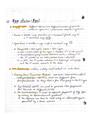 Ericsson, Stephanie - The Ways We Lie - The Ways We Lie an essay by ...