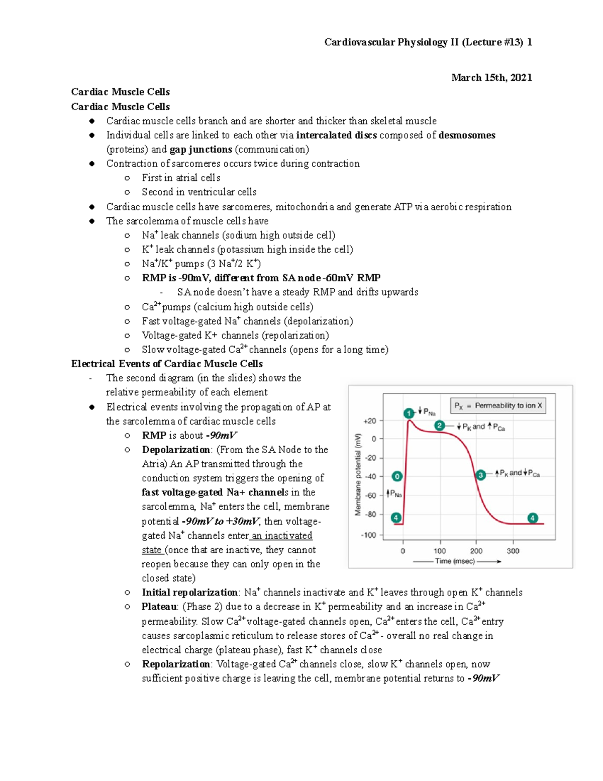 BIOL 2040-01 Cardiovascular Physiology II - March 15th, 2021 Cardiac ...