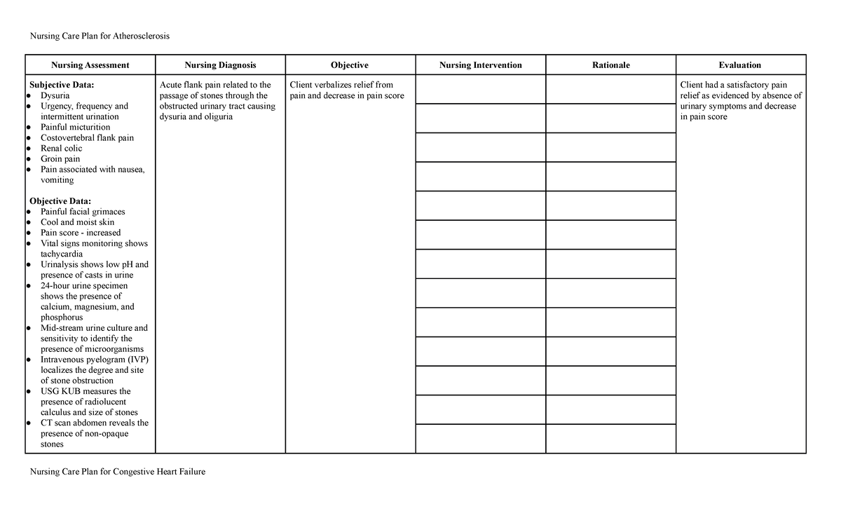 Untitled-document-2 - akjdhxakjcha - Nursing Care Plan for ...