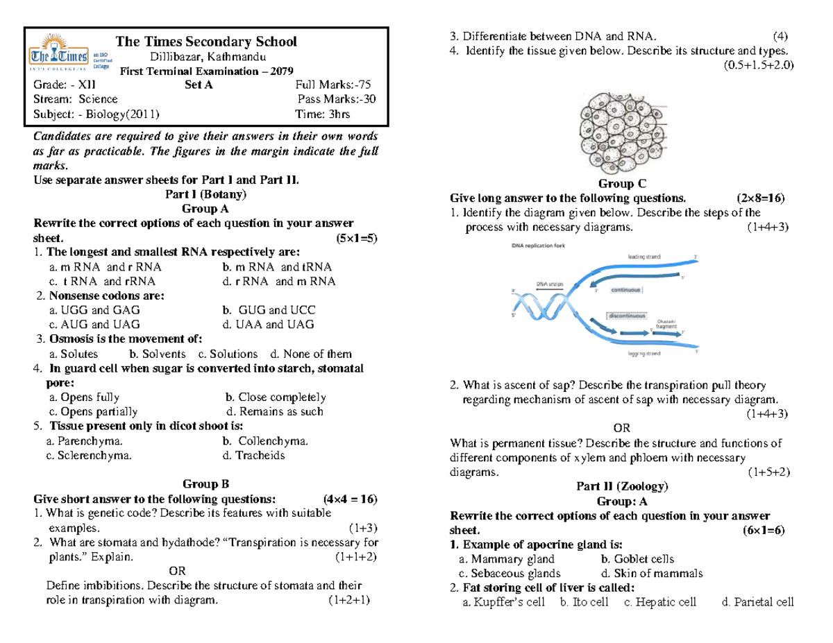 Science-XII - Candidates are required to give their answers in their ...