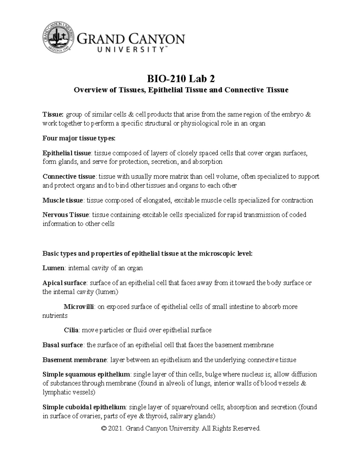 Anatomy Lab Terms List 2 - BIO-210 Lab 2 Overview of Tissues ...
