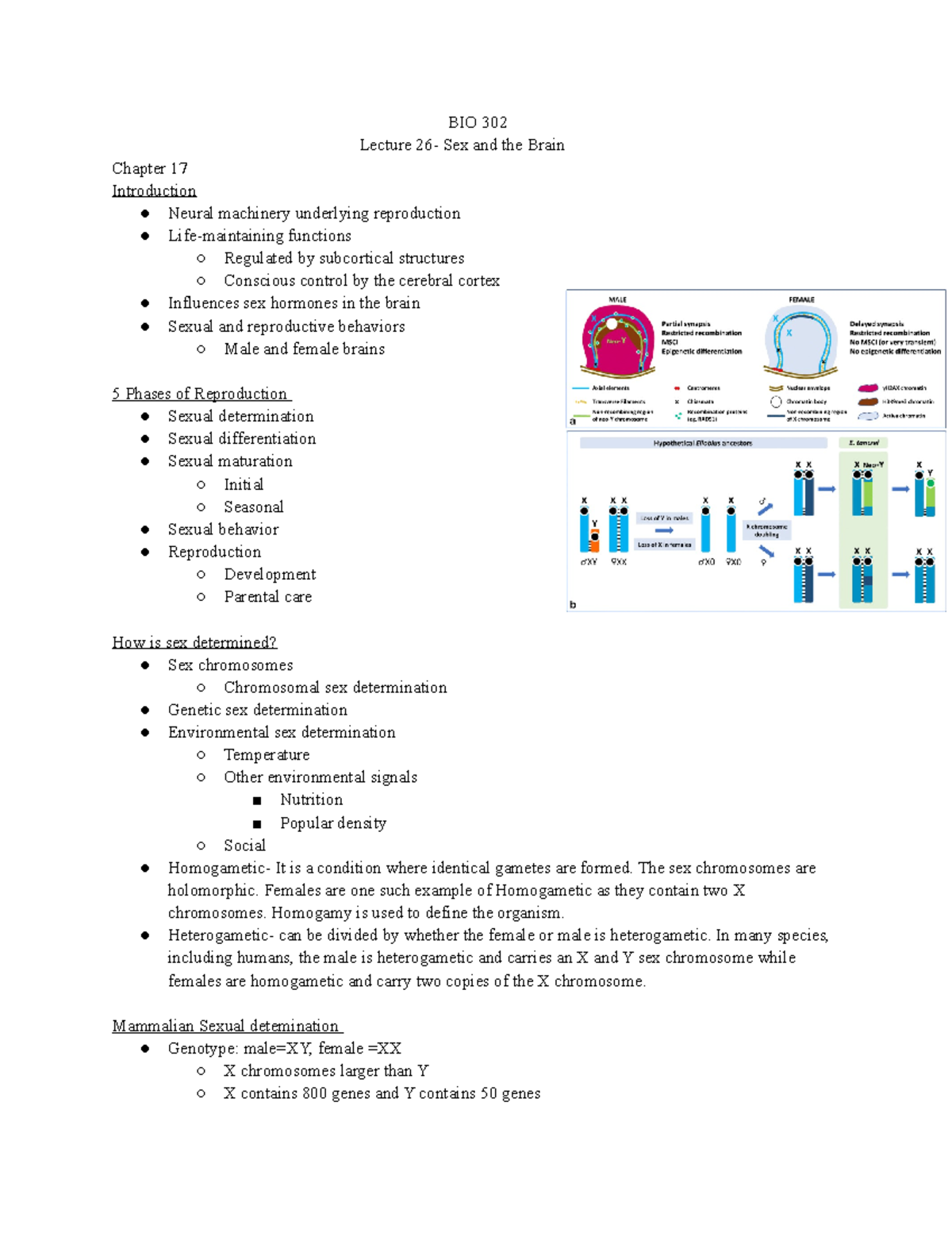 BIO 302 11 4 2022 - Fall 2022 - BIO 302 Lecture 26- Sex and the Brain ...