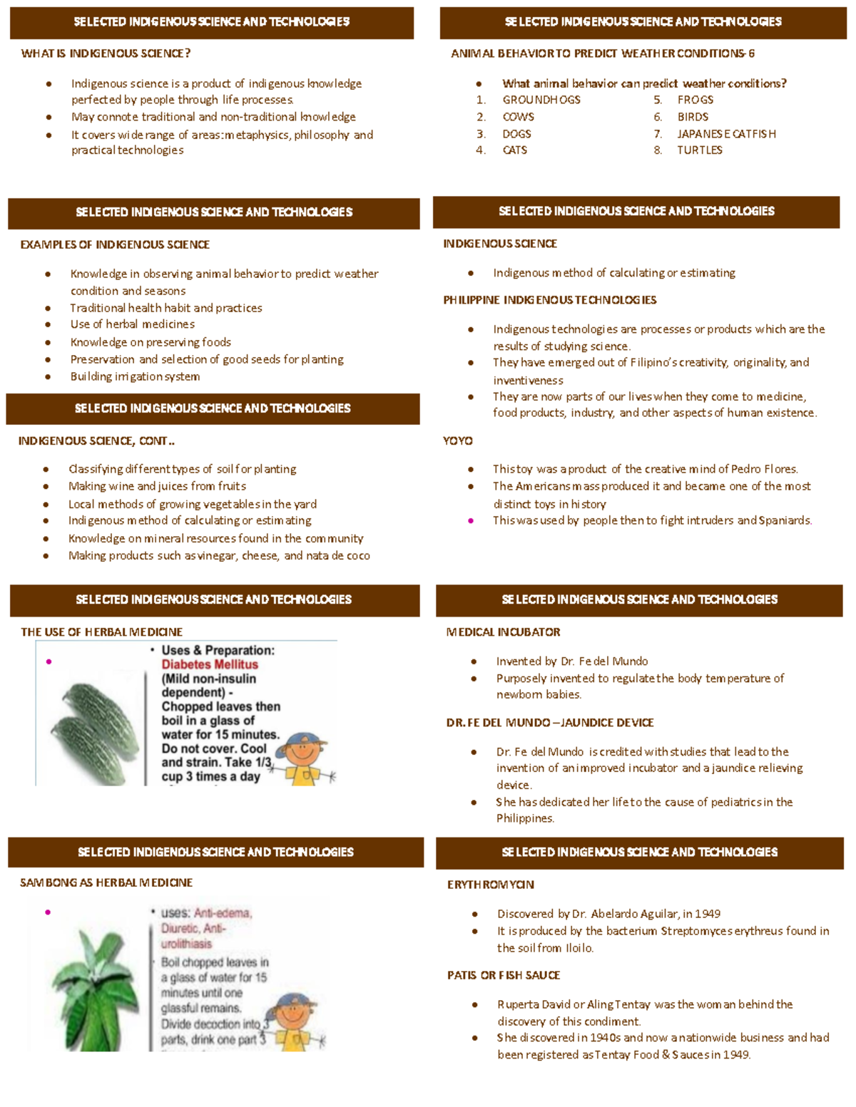 STS Reviewer - SELECTED INDIGENOUS SCIENCE AND TECHNOLOGIES WHAT IS ...