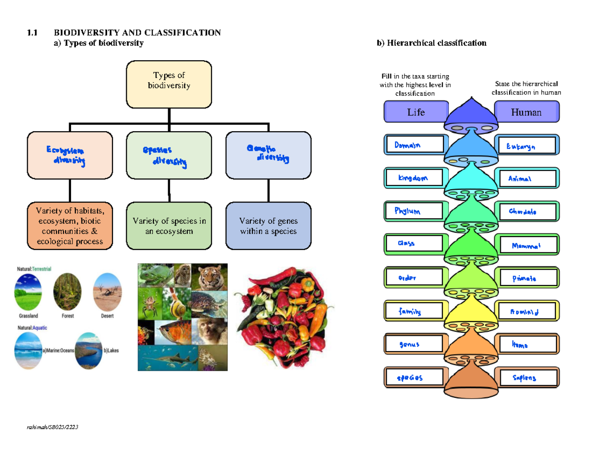 Biodiversity Classification 2223 - rahimah/SB02 5 / 2223 1 BIODIVERSITY ...