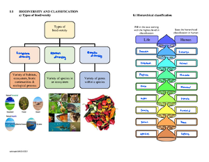 LAB Report EXP 1 (SEM 1) ( Marked) - TITLE Experiment 1: Basic ...