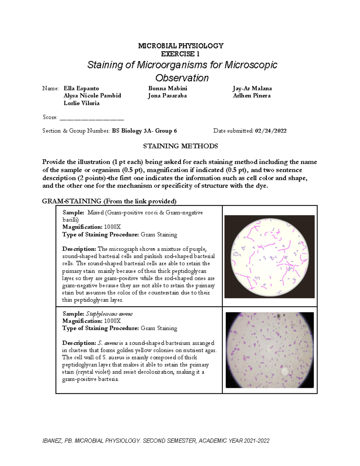 Group 6- Exercise 1 Staining of Microorganisms - MICROBIAL PHYSIOLOGY ...