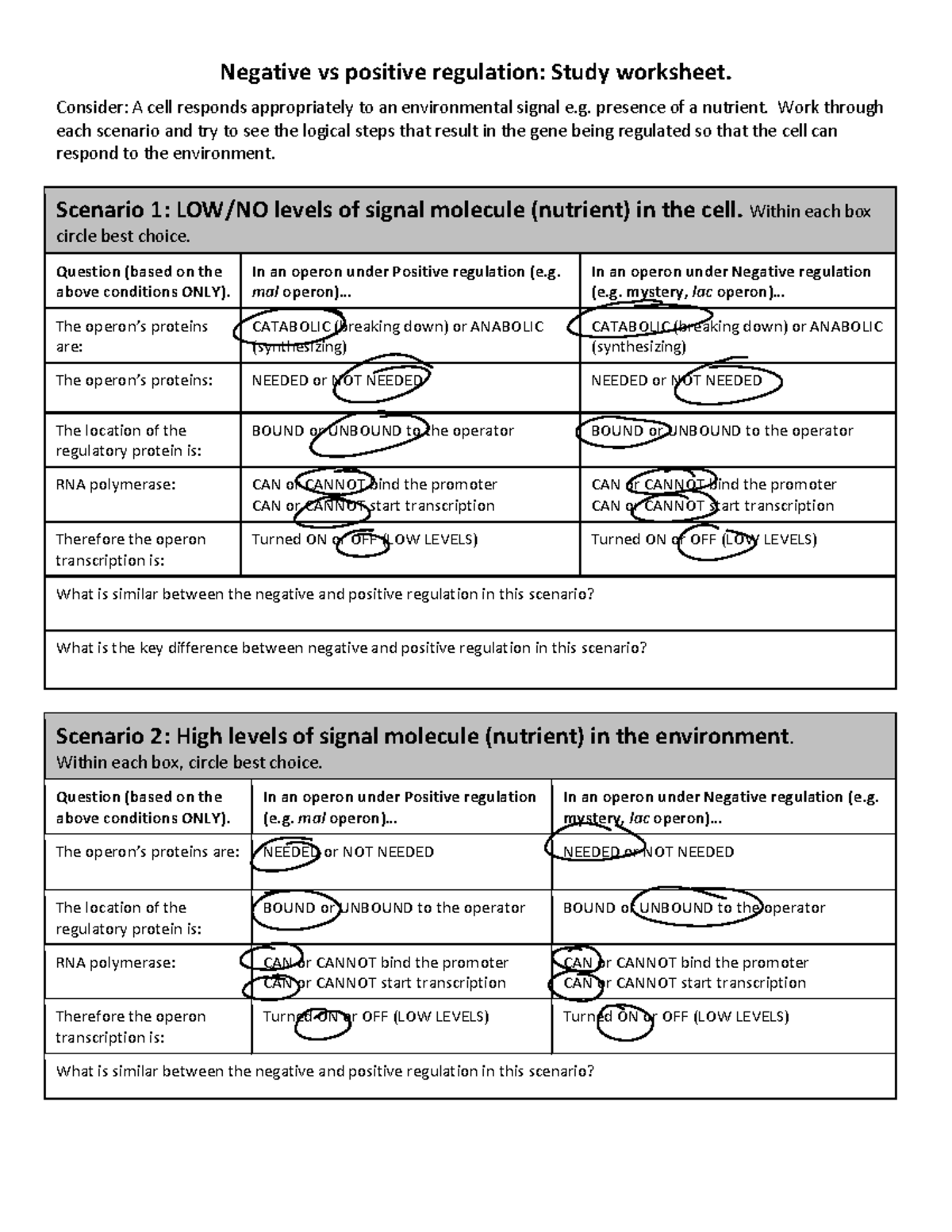Copy of Negative vs Positive regulation Comparison Worksheet Questions ...