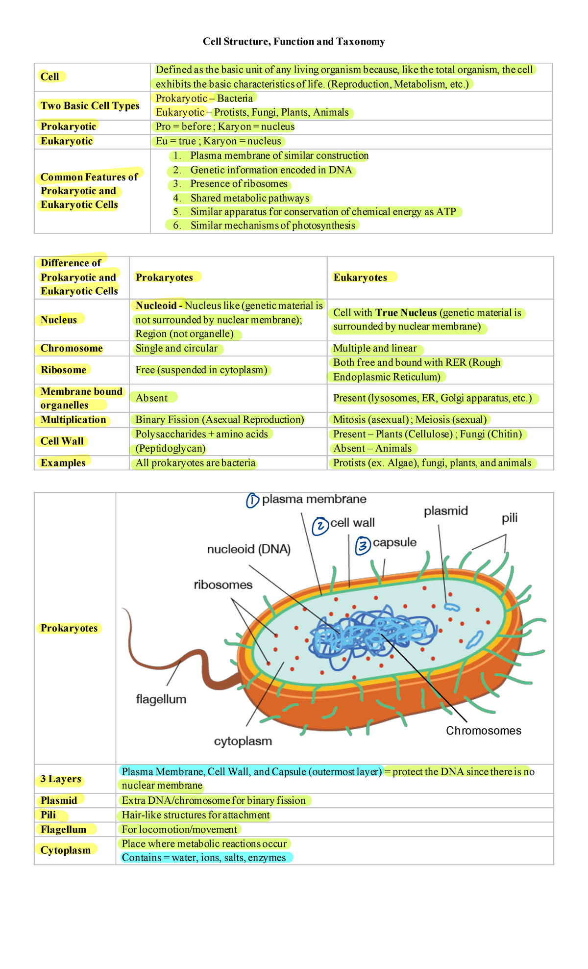 2.5 Cell Structure, Function and Taxonomy Study Guide - Cell Structure ...