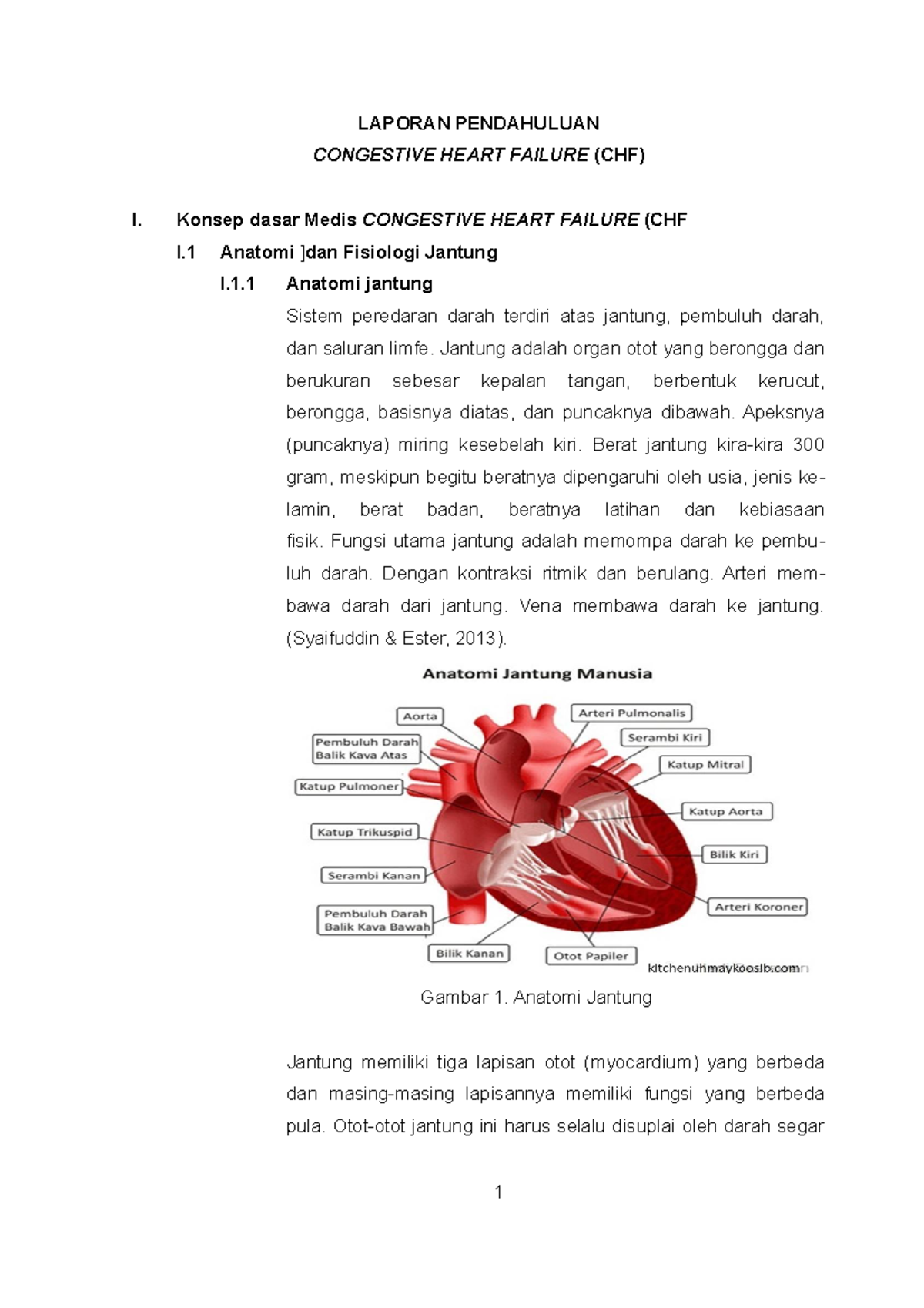 Asuhan Keperawatan Gadar - LAPORAN PENDAHULUAN CONGESTIVE HEART FAILURE (CHF) I. Konsep dasar ...