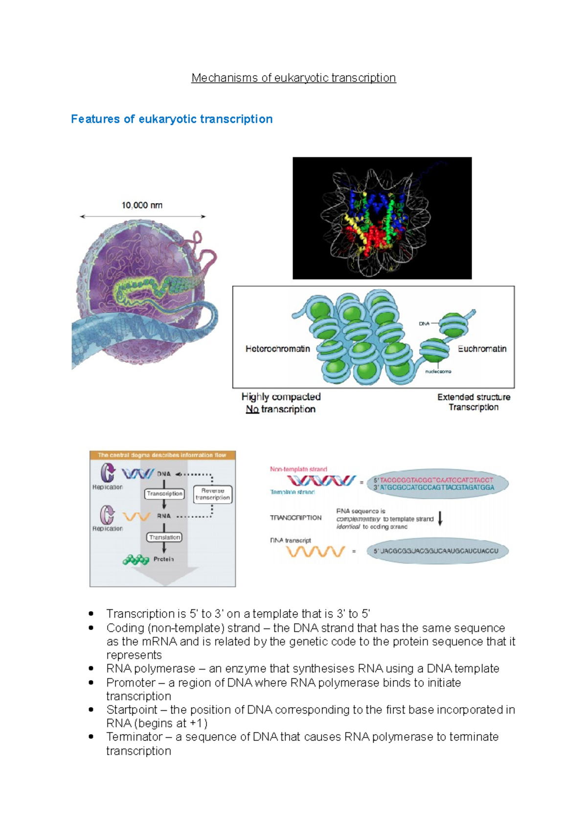 Mechanisms of eukaryotic transcription - Mechanisms of eukaryotic ...