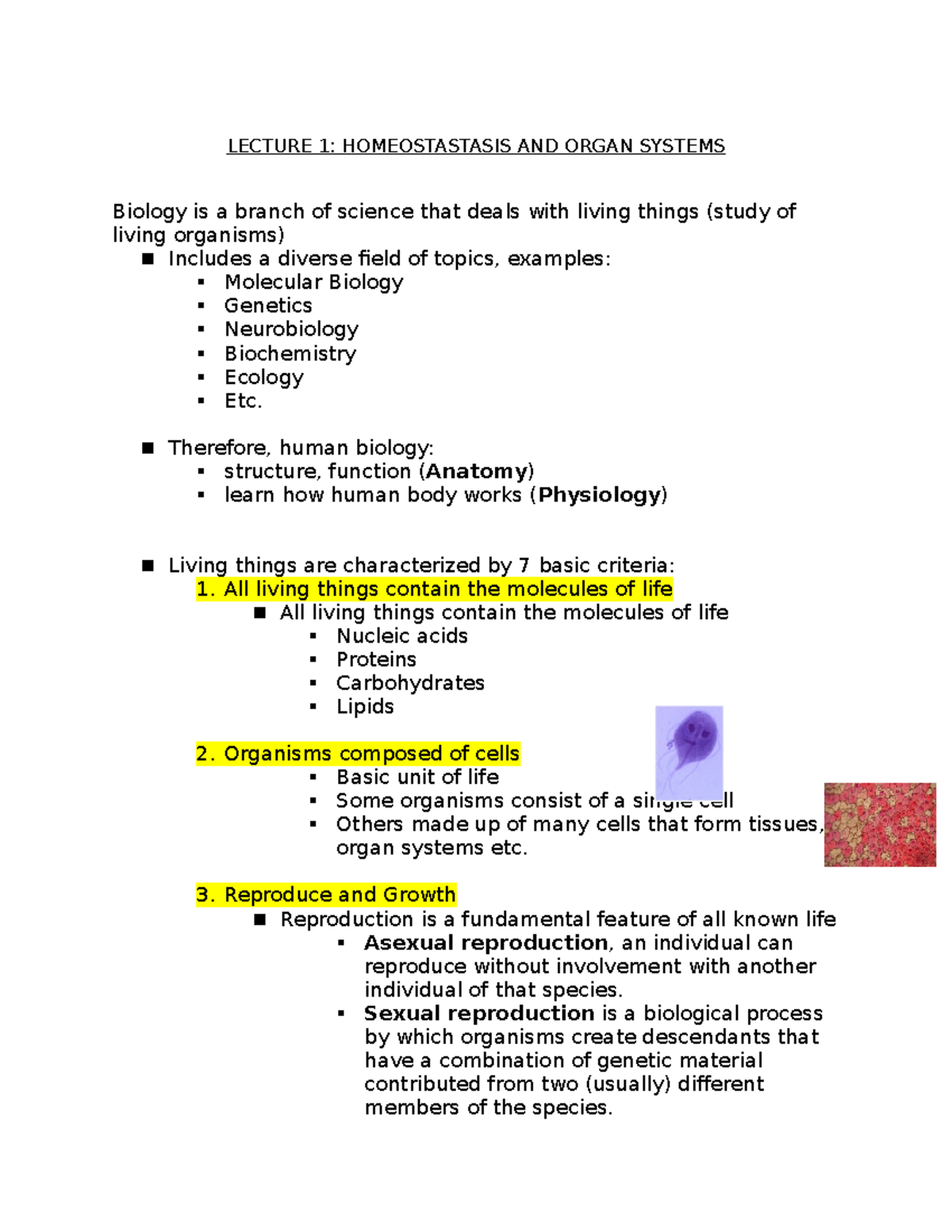 Quiz 1 on lab 1, 2 and 3 - 101-BXD-05 - Studocu