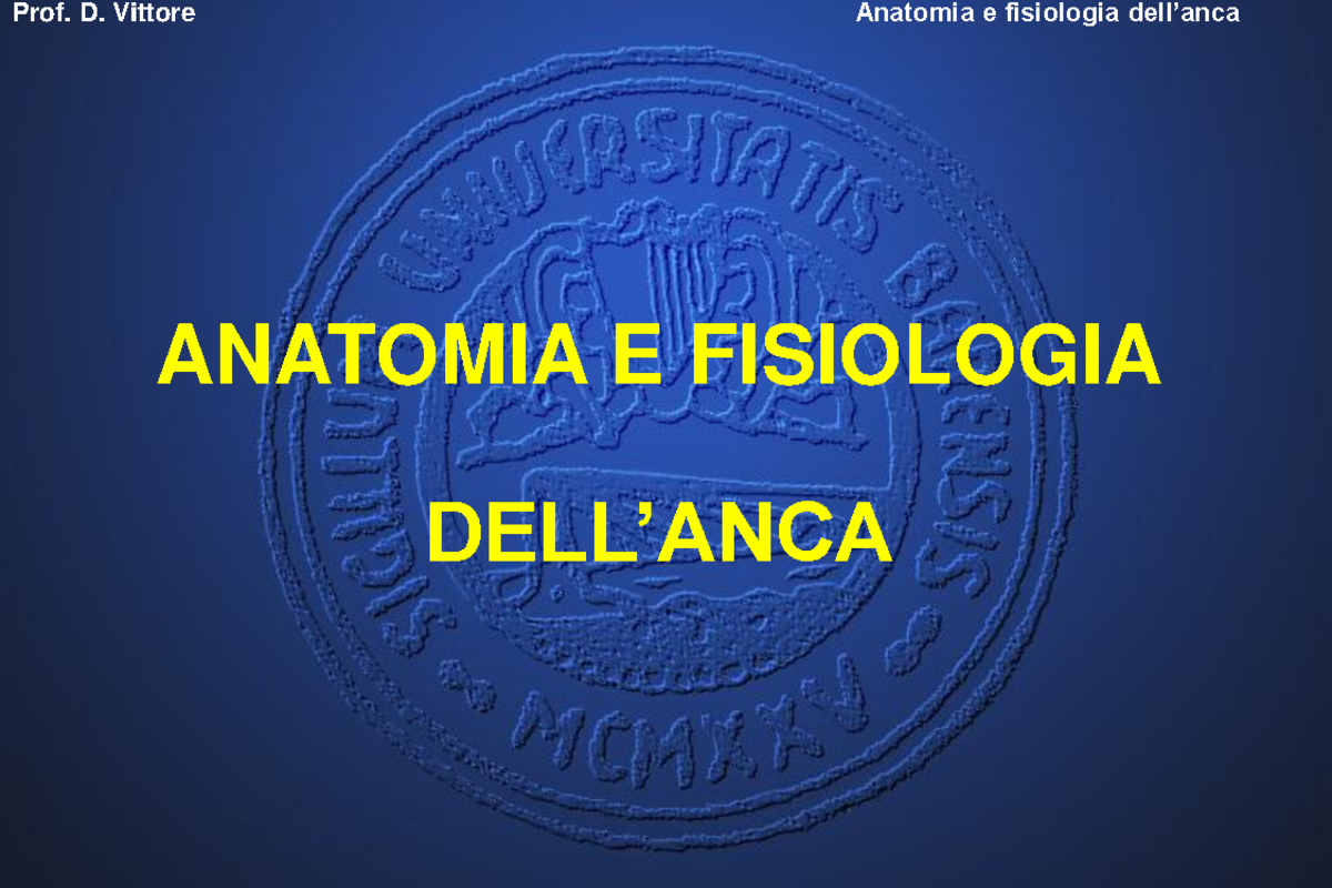 Anatonomofisiologia anca - ANATOMIA E FISIOLOGIA DELL’ANCA La funzione ...