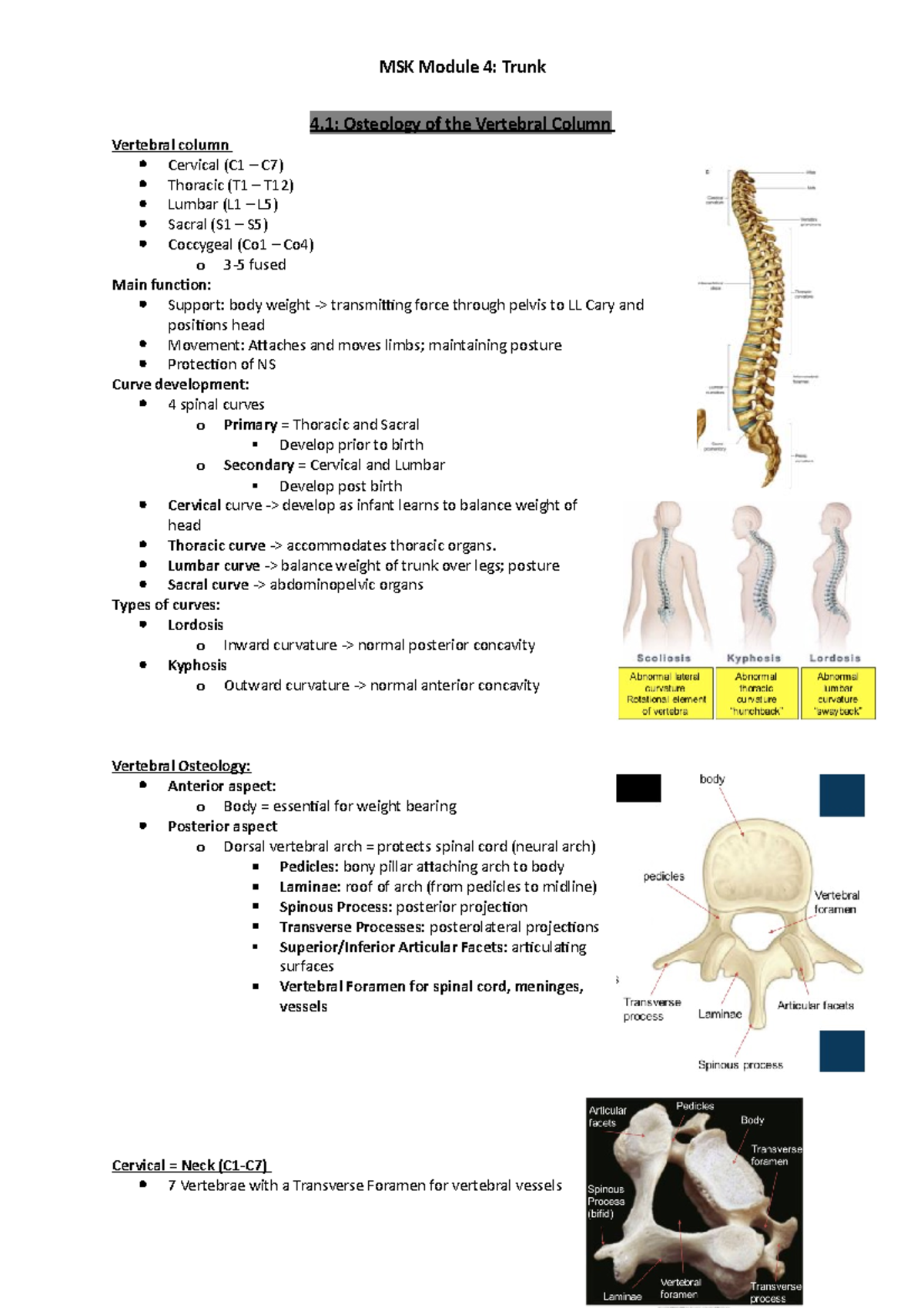Module 4 - 4: Osteology of the Vertebral Column Vertebral column ...