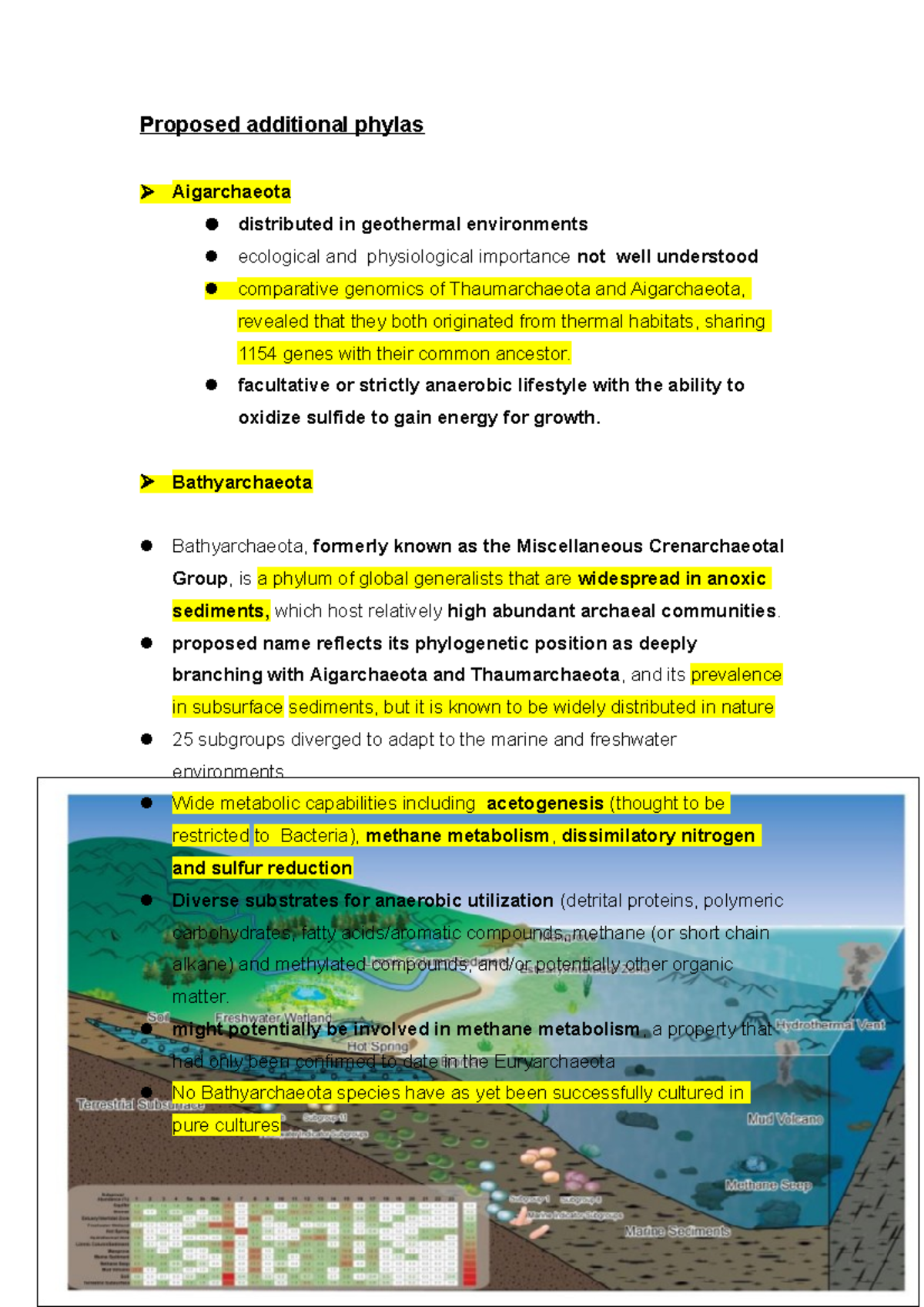 Proposed additional phylas of archaea - Proposed additional phylas ...