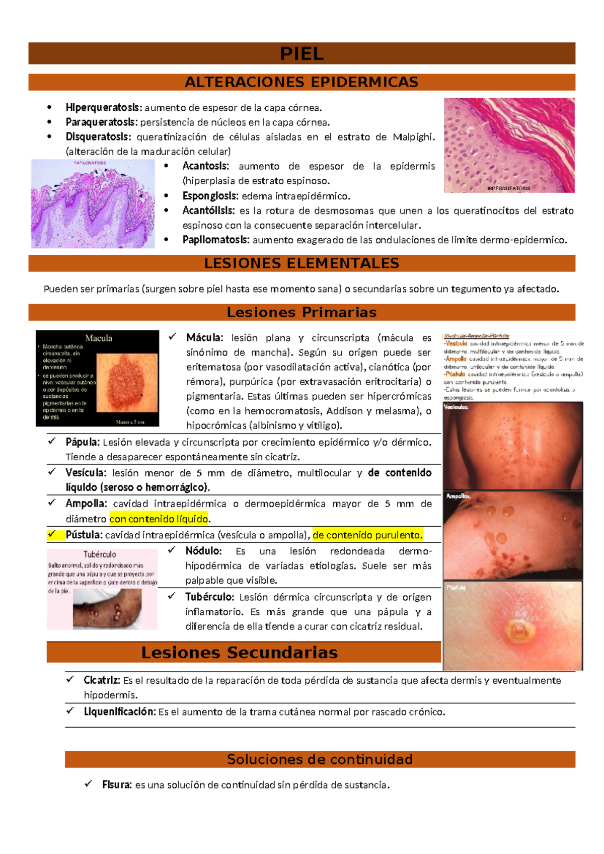 PIEL - Piel presentación generalidades - PIEL ALTERACIONES EPIDERMICAS ...