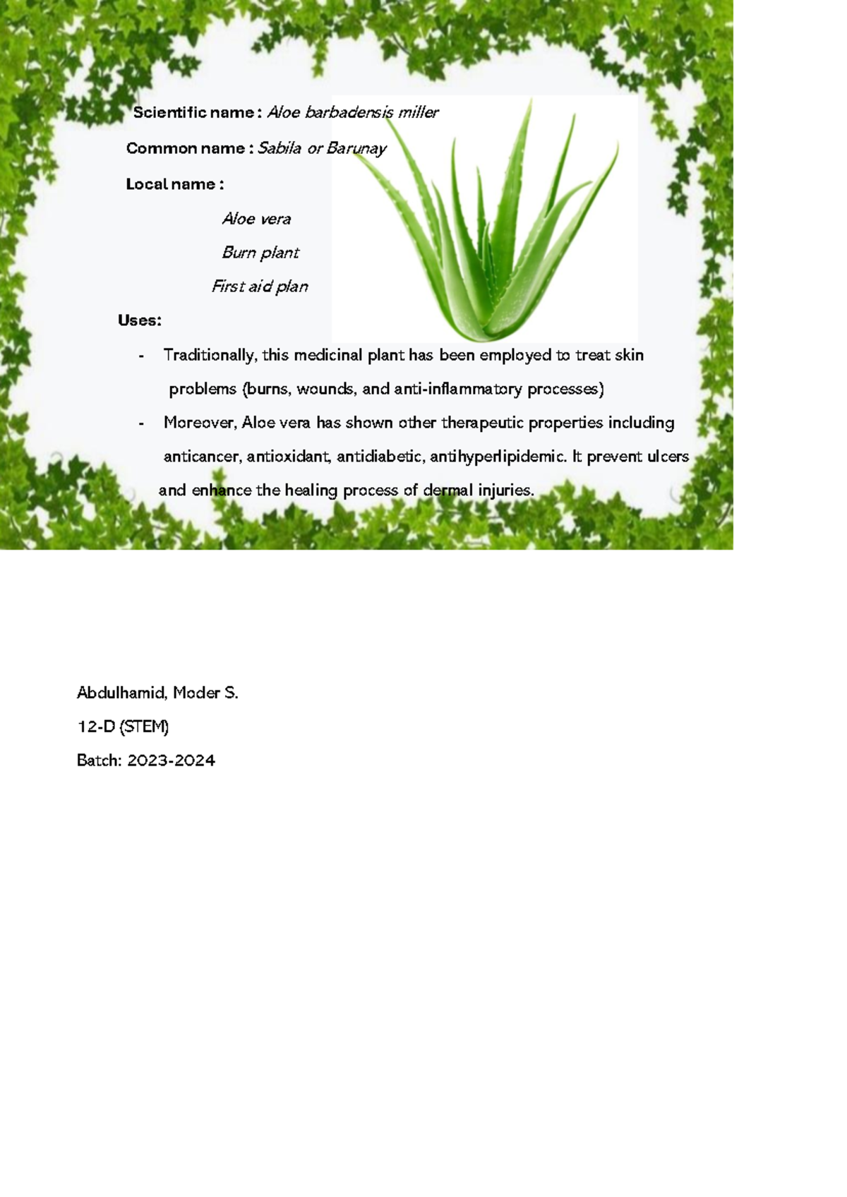 general biology - Scientific name : Aloe barbadensis miller Common name ...
