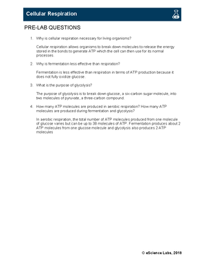 IB 1108 L02 Gen Lab Safety - General Lab Safety Pre-Lab Questions What ...