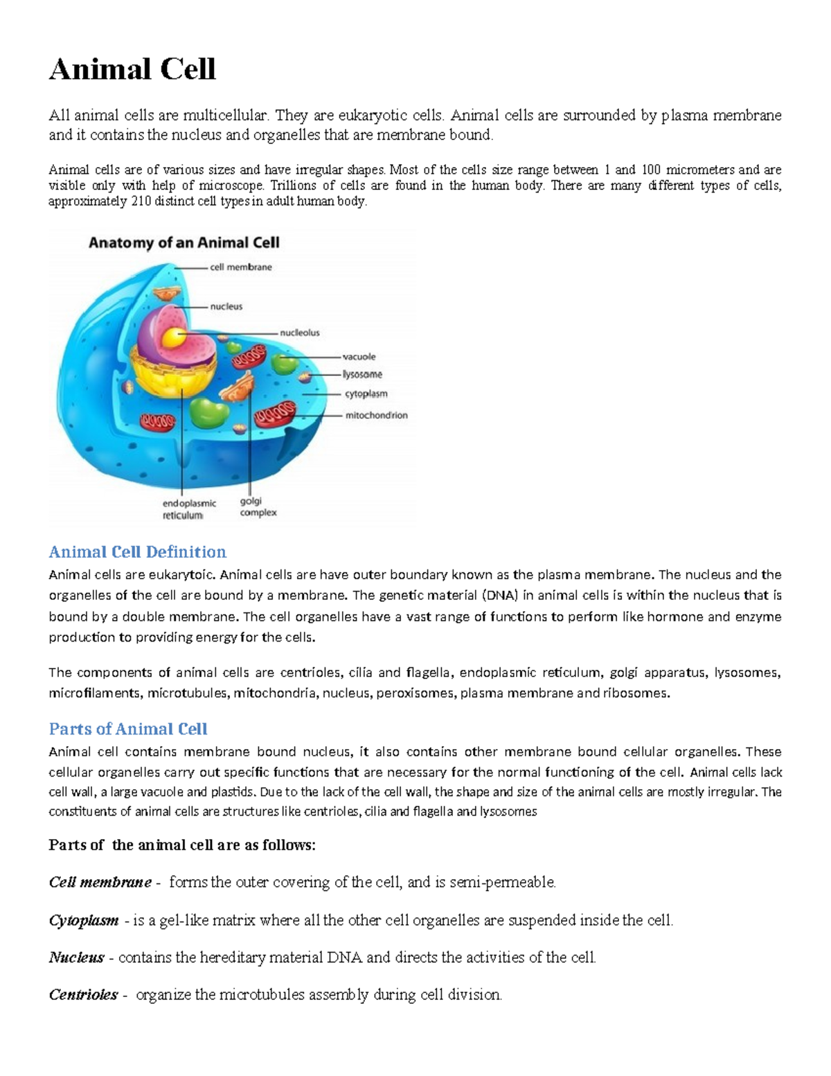 Animal-Cell - Reviewer - Animal Cell All animal cells are multicellular ...