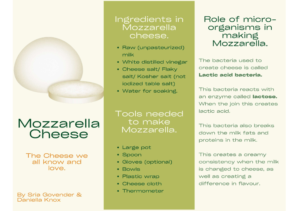 Mozzarella project - Studocu