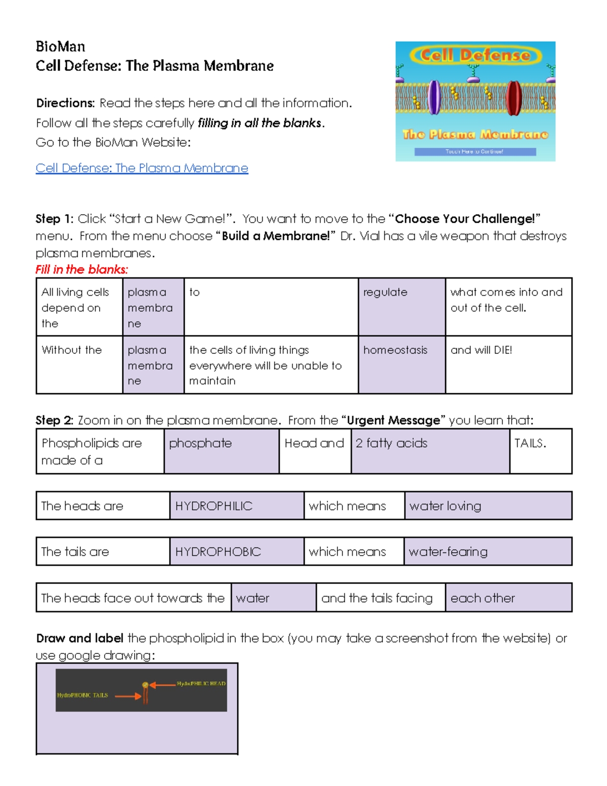 Copy of Bio Man Plasma Membrane - BioMan Cell Defense: The Plasma ...
