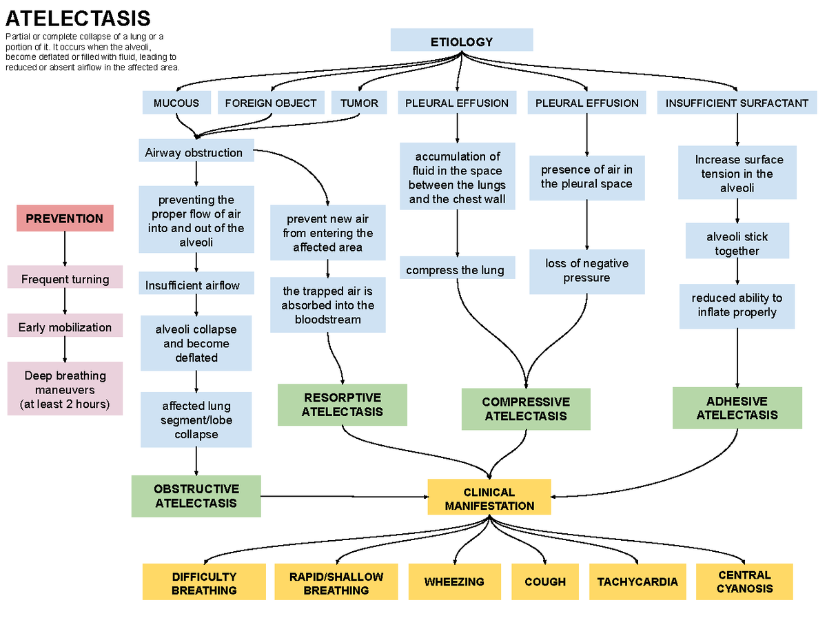 Atelectasis - Notes - ATELECTASIS Partial or complete collapse of a ...