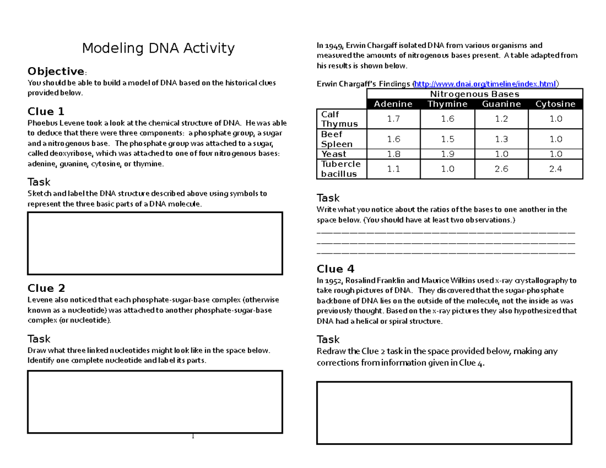 Discovering dna activity - Modeling DNA Activity Objective: You should ...