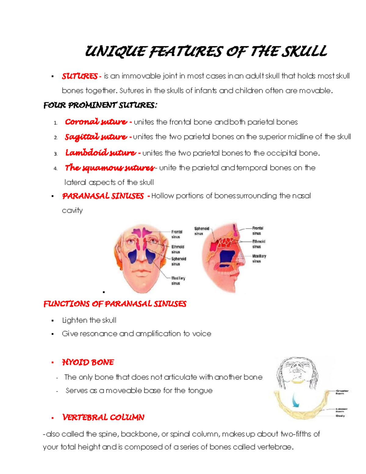Unique Features of the Skull - UNIQUE FEATURES OF THE SKULL SUTURES ...