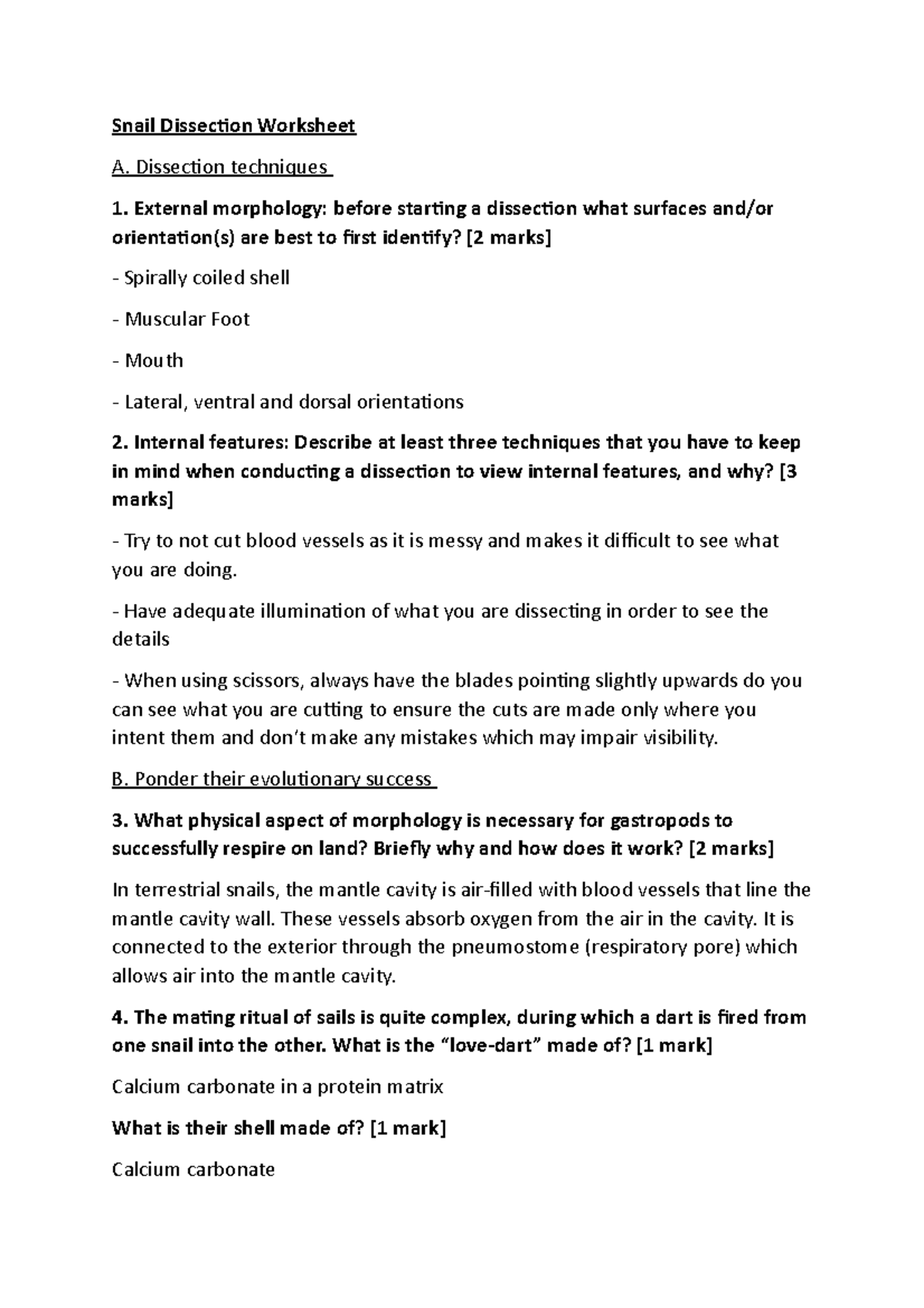 Snail Dissection Worksheet- Practical Assignment - Snail Dissection ...