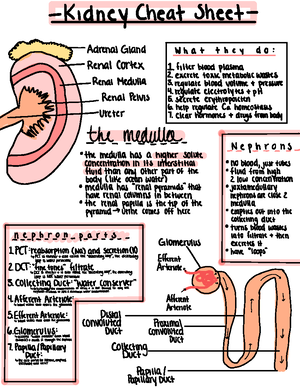 An Overview of Subacute Cutaneous Lupus Erythematosus - An Overview of ...