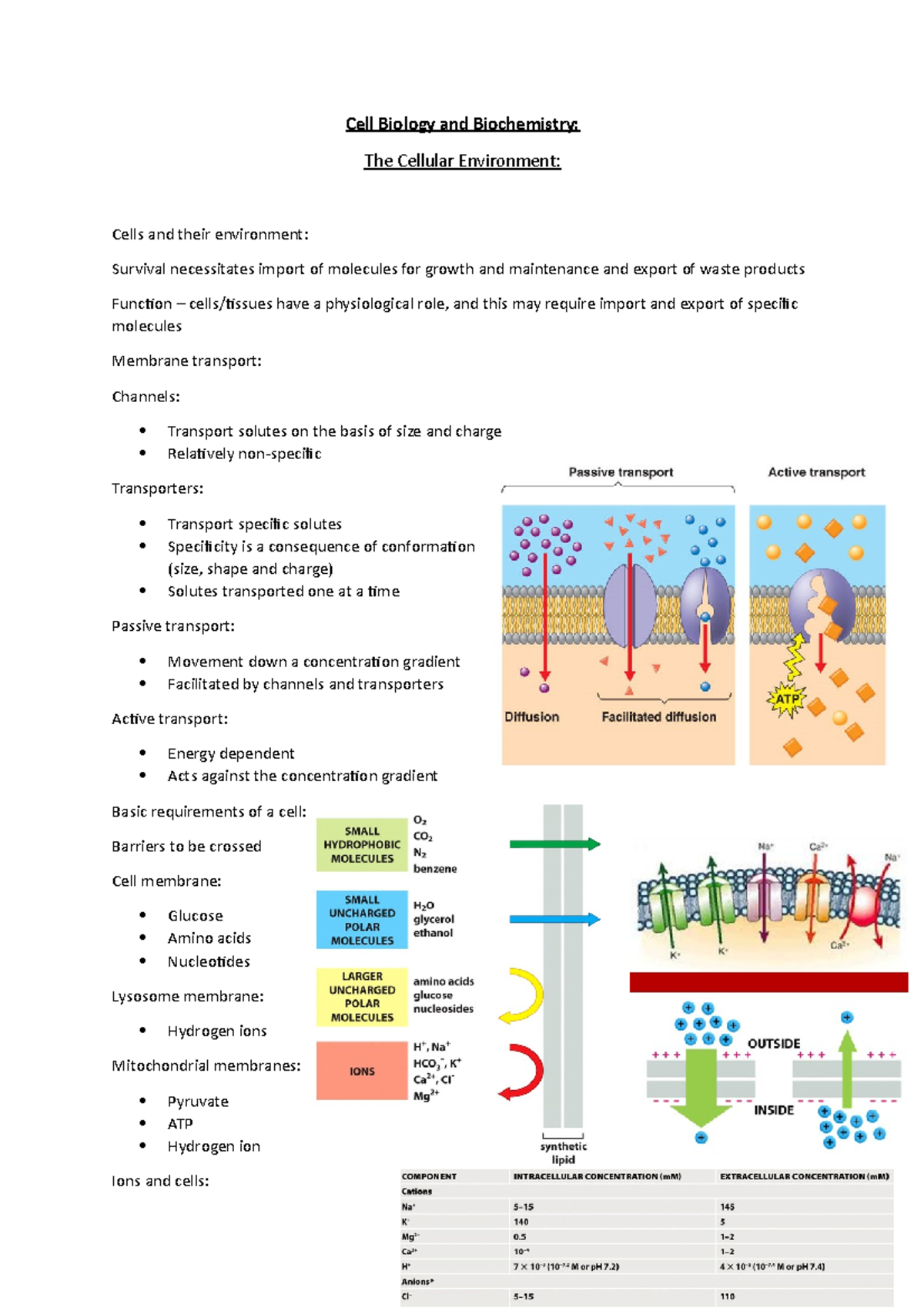 Lecture 9 - The Cellular Environment - Cell Biology and Biochemistry ...