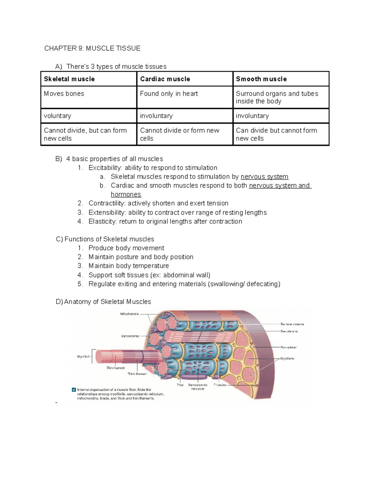 BIOL 346) EXAM 2 Study Guide - CHAPTER 9: MUSCLE TISSUE A) There’s 3 ...