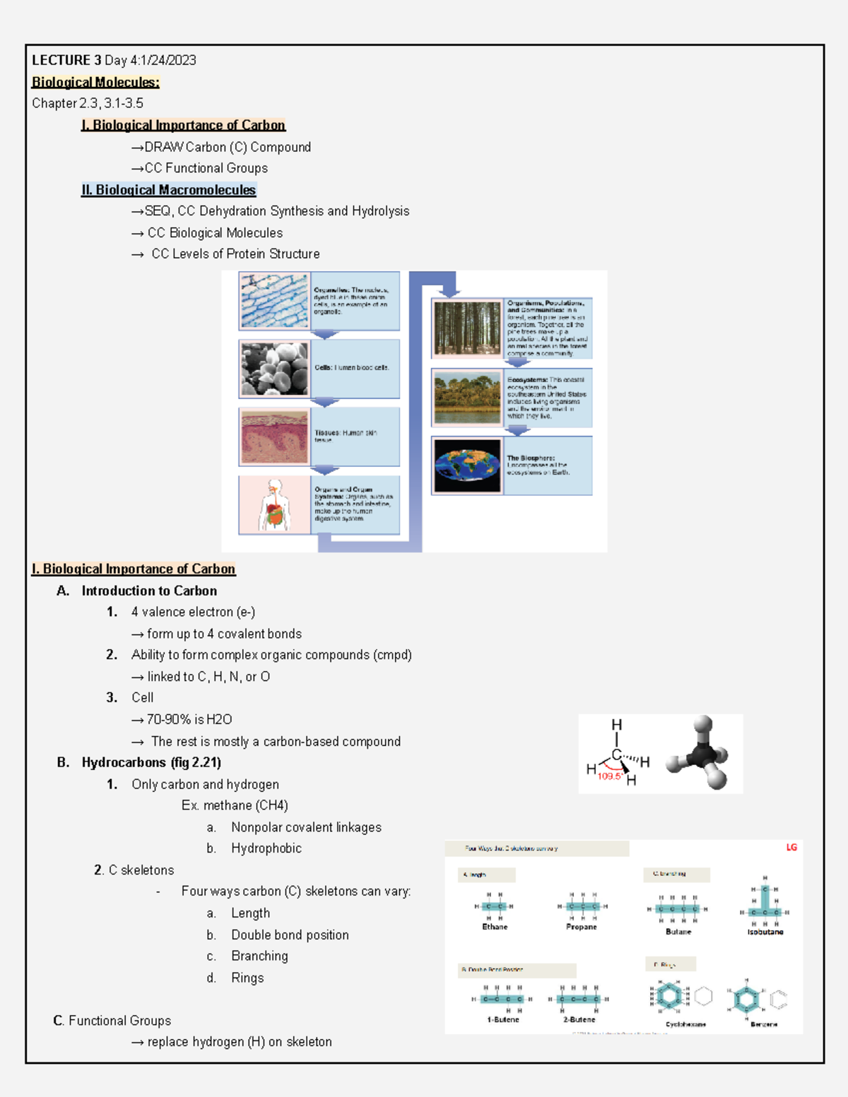 Lecture 3 Bio 115 - LECTURE 3 Day 4:1/24/ Biological Molecules: Chapter ...