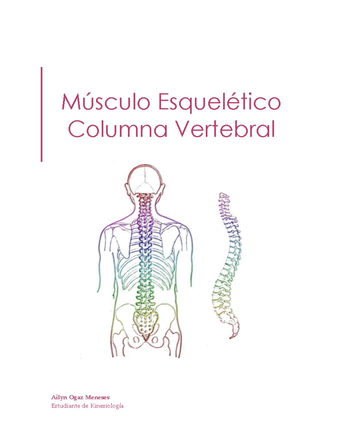 Músculo esquelético columna vertebral 2016 - Columna Vertebral Ailyn ...