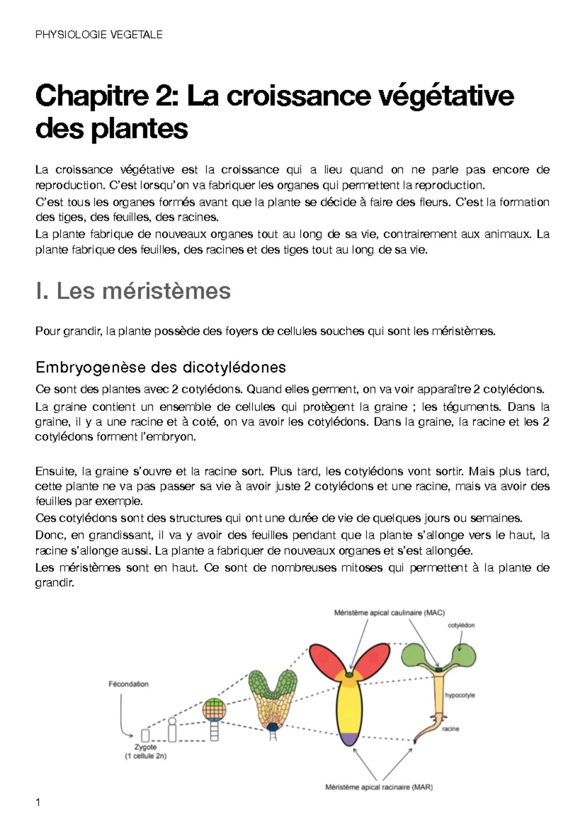 2. La croissance végétative des plantes - Physiologie végétale - UPS ...