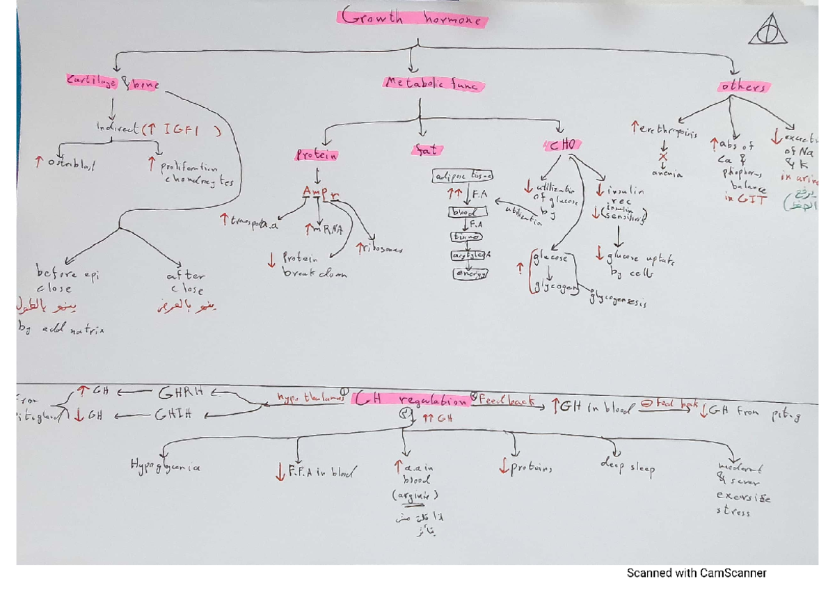 Phsiology endocrine mind map hormones and abnormalities ...
