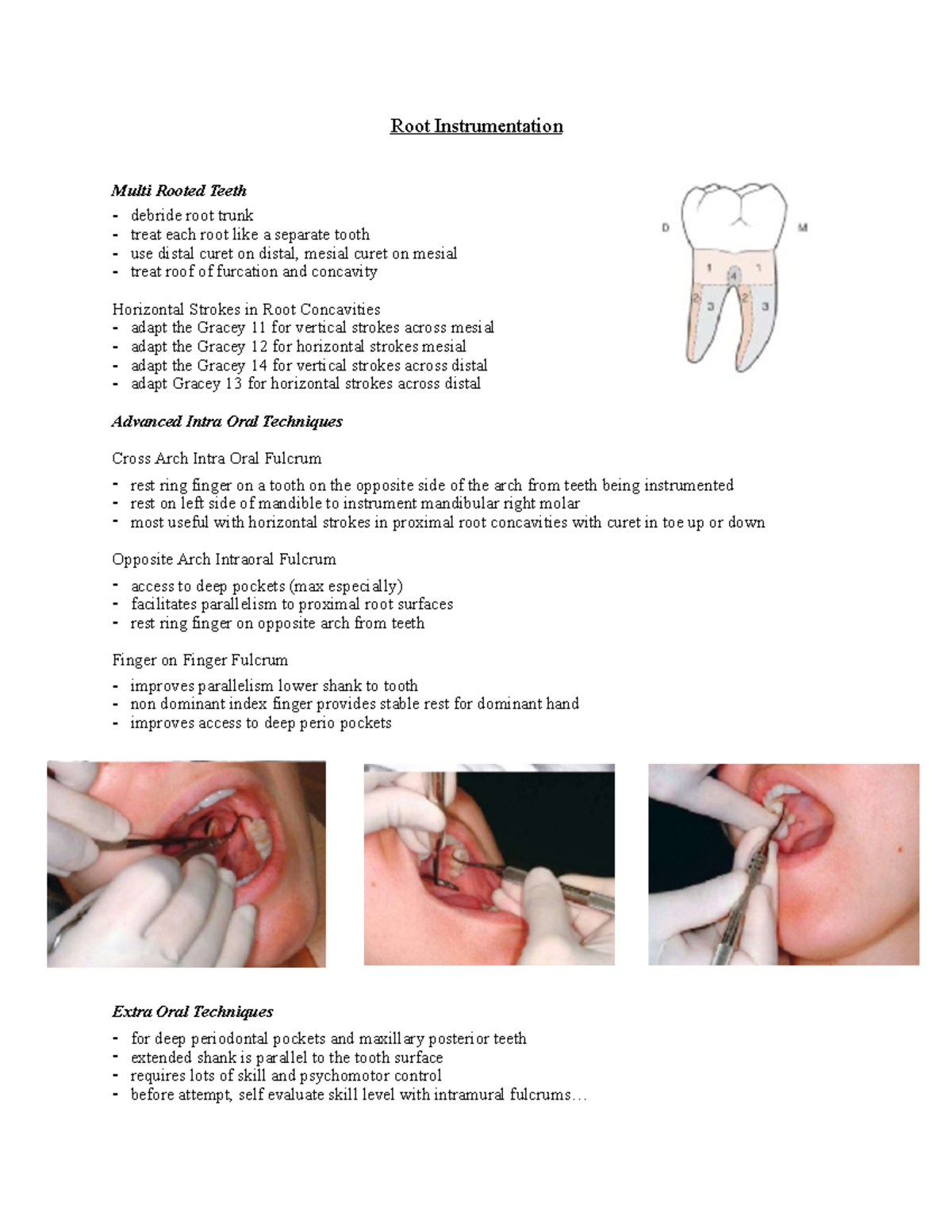Root Instrumentation - Professor Heather Garro - Root Instrumentation ...
