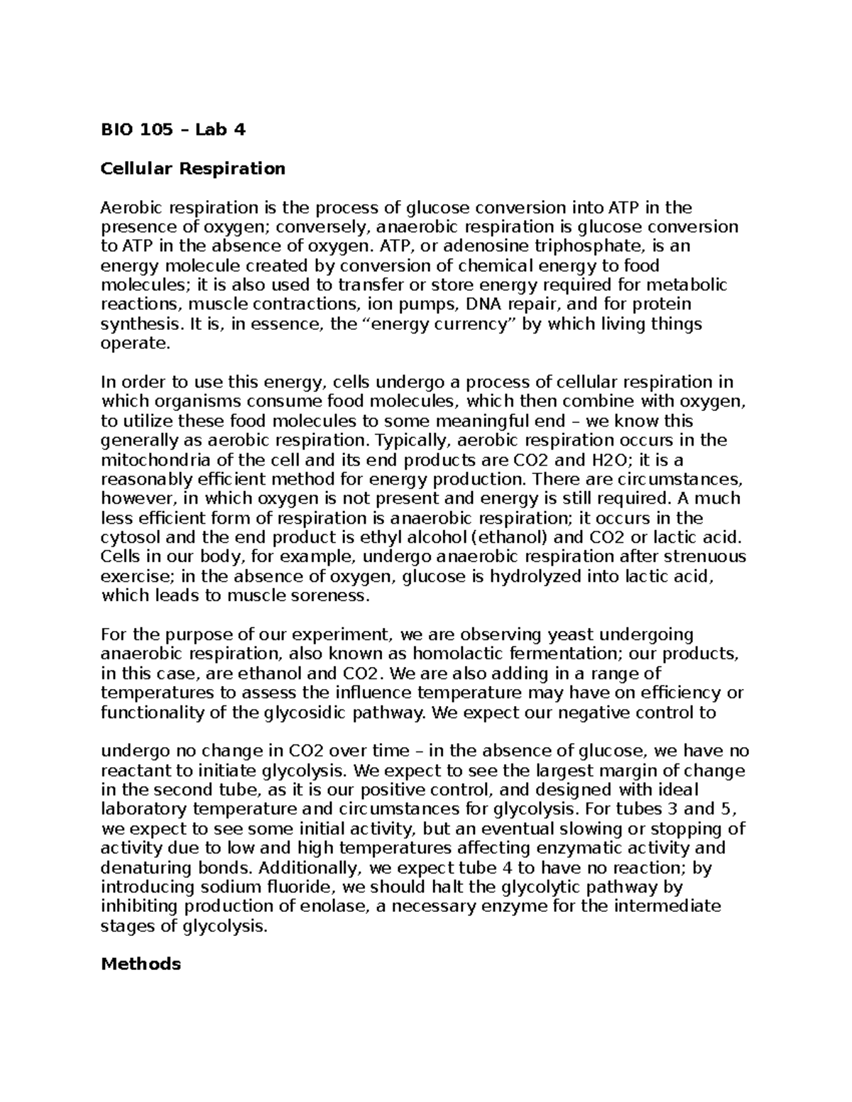 BIO 105 Lab 4 Cellular Respiration lab report - BIO 105 – Lab 4 ...
