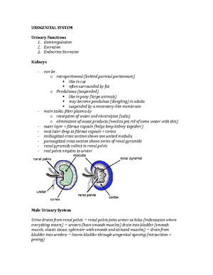Respiratory and Digestive Lab Manual - BIOM*3010 Laboratory Manual ...