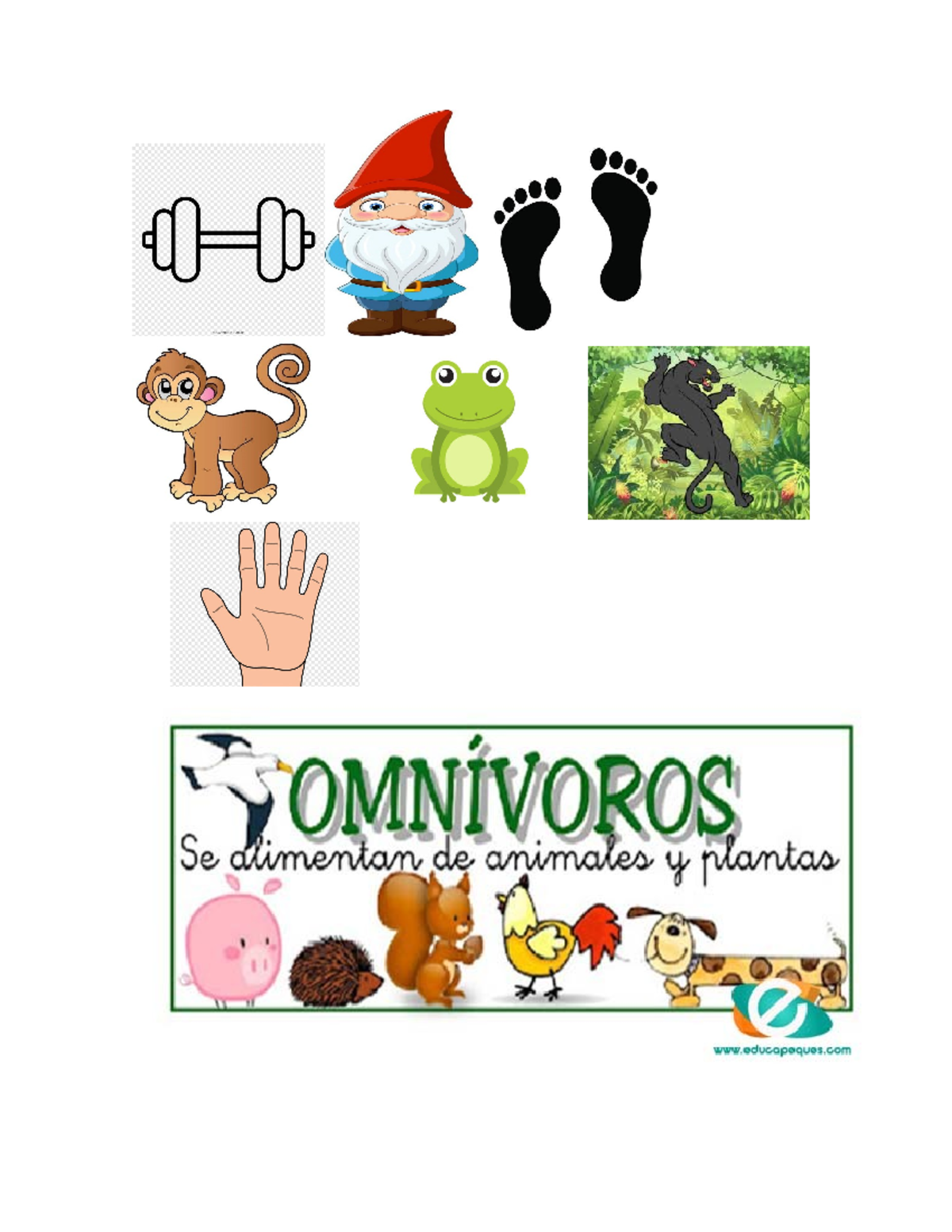 Agua y animales - ciencias naturales - 11 OMNÍVOROS Se alimentan de ...